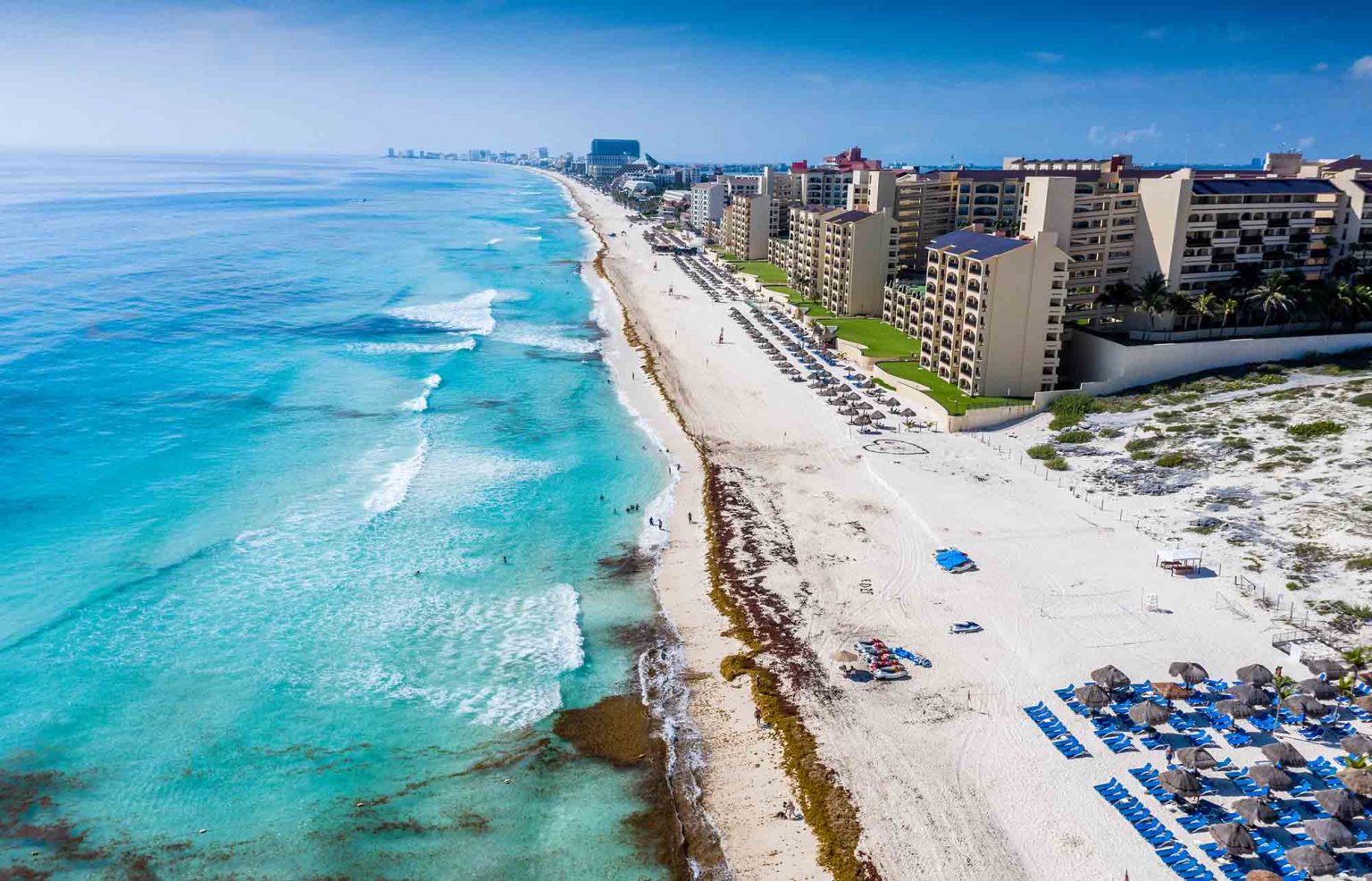 Algues sargasses au Mexique & au Yucatan en juin 2026