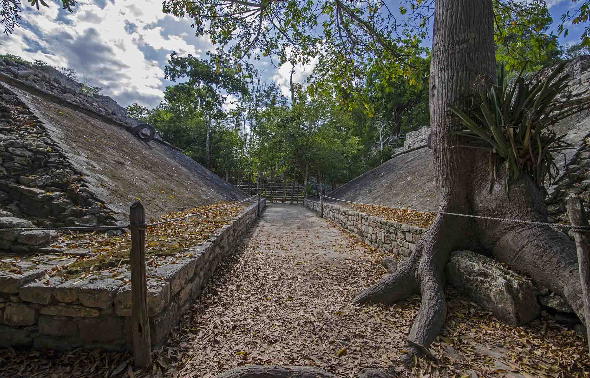 Visiter Coba au Mexique en 2026 : Prix, Horaires & Infos