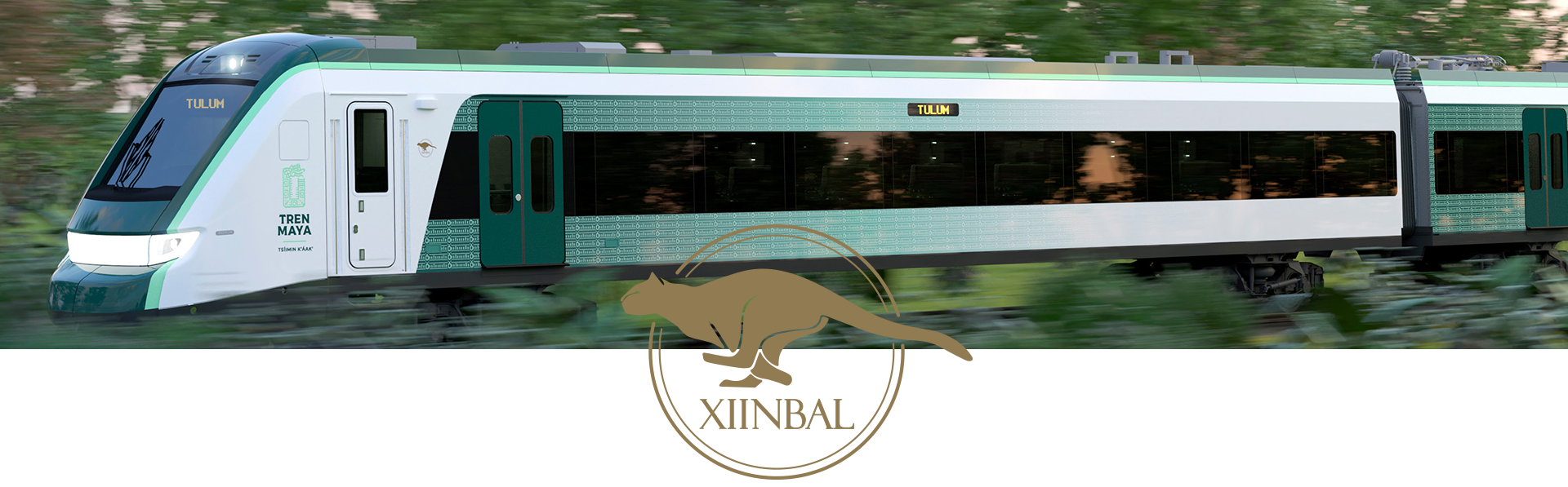 Train Maya : Guide 2026 & Conseils