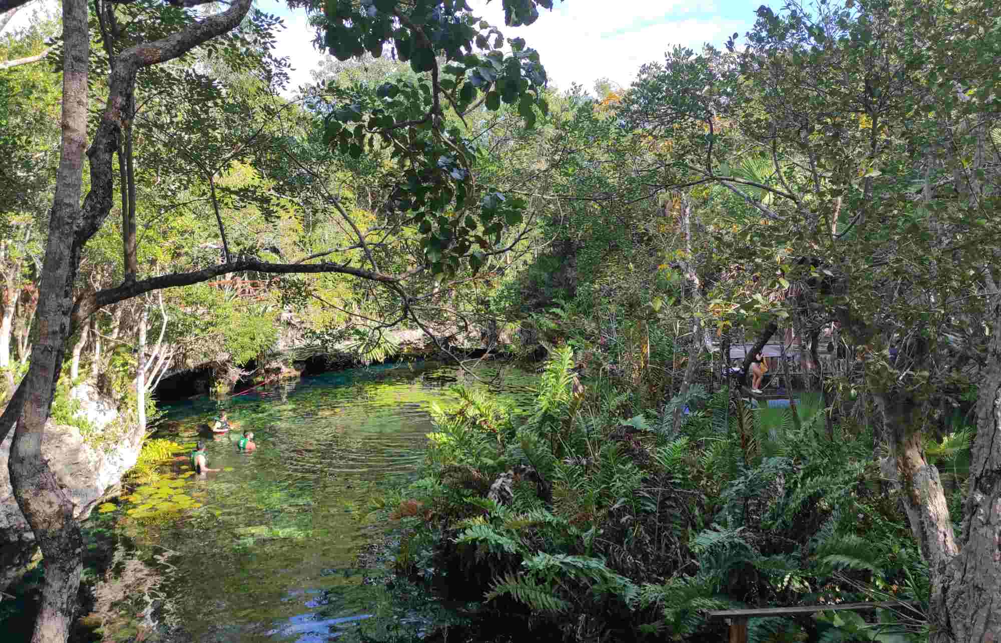 Visiter le Cenote Nicte-Ha : Guide 2026 & Conseils