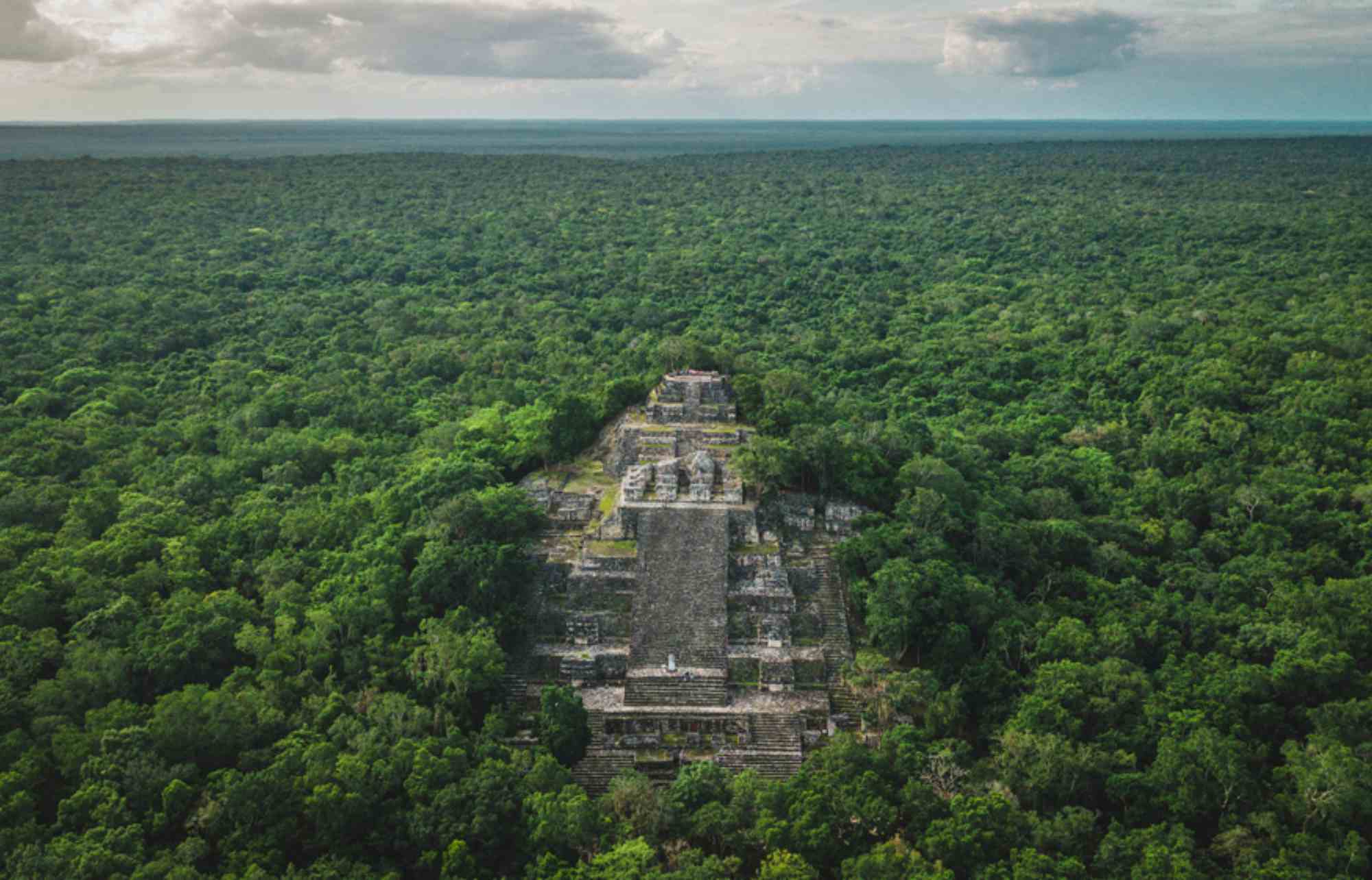 Visiter Calakmul au Mexique | Guide 2026 & Conseils