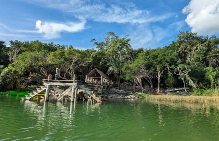 Visiter la Réserve de Punta Laguna | Guide 2026