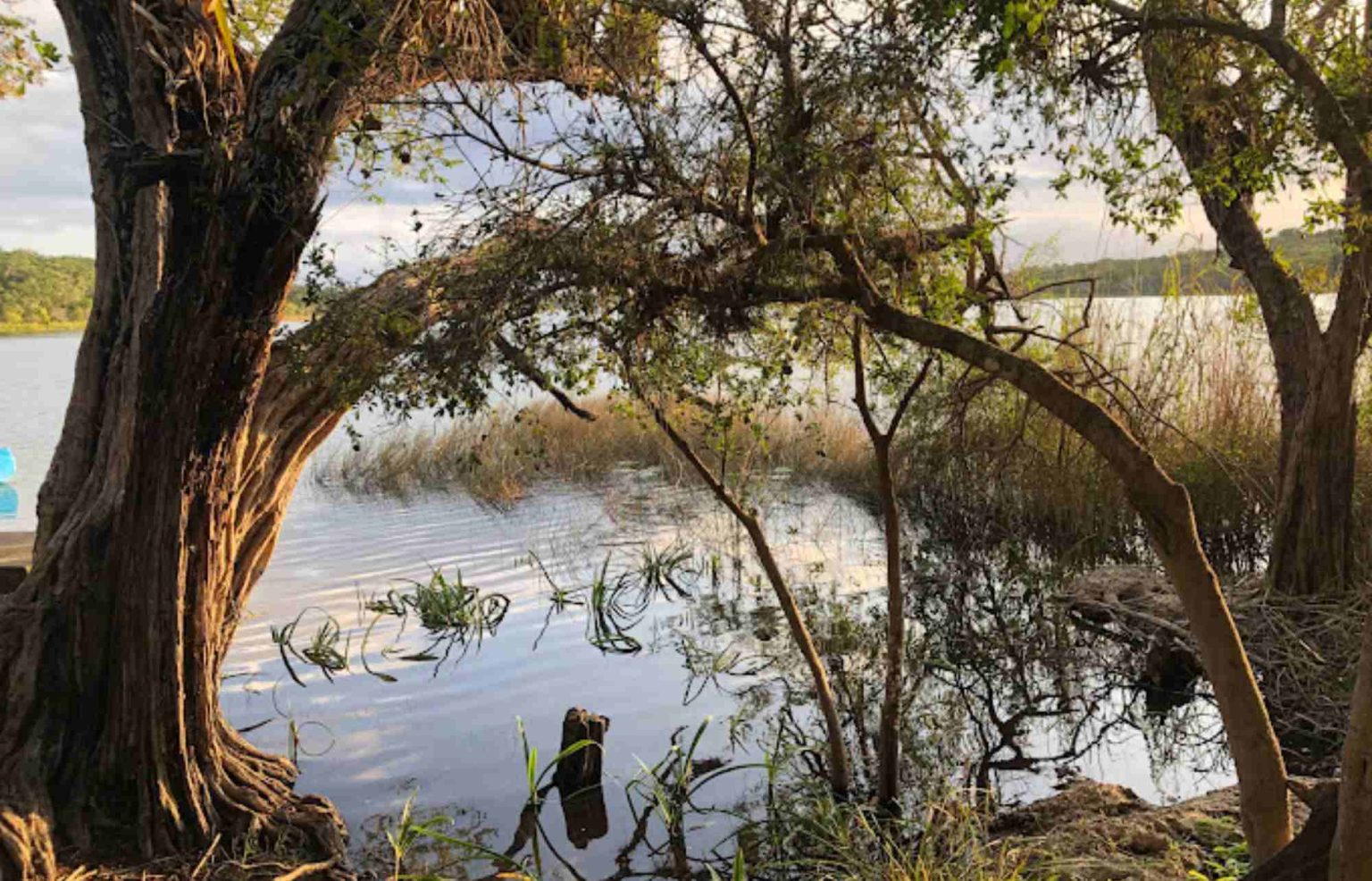 Visiter la Réserve de Punta Laguna | Guide 2026