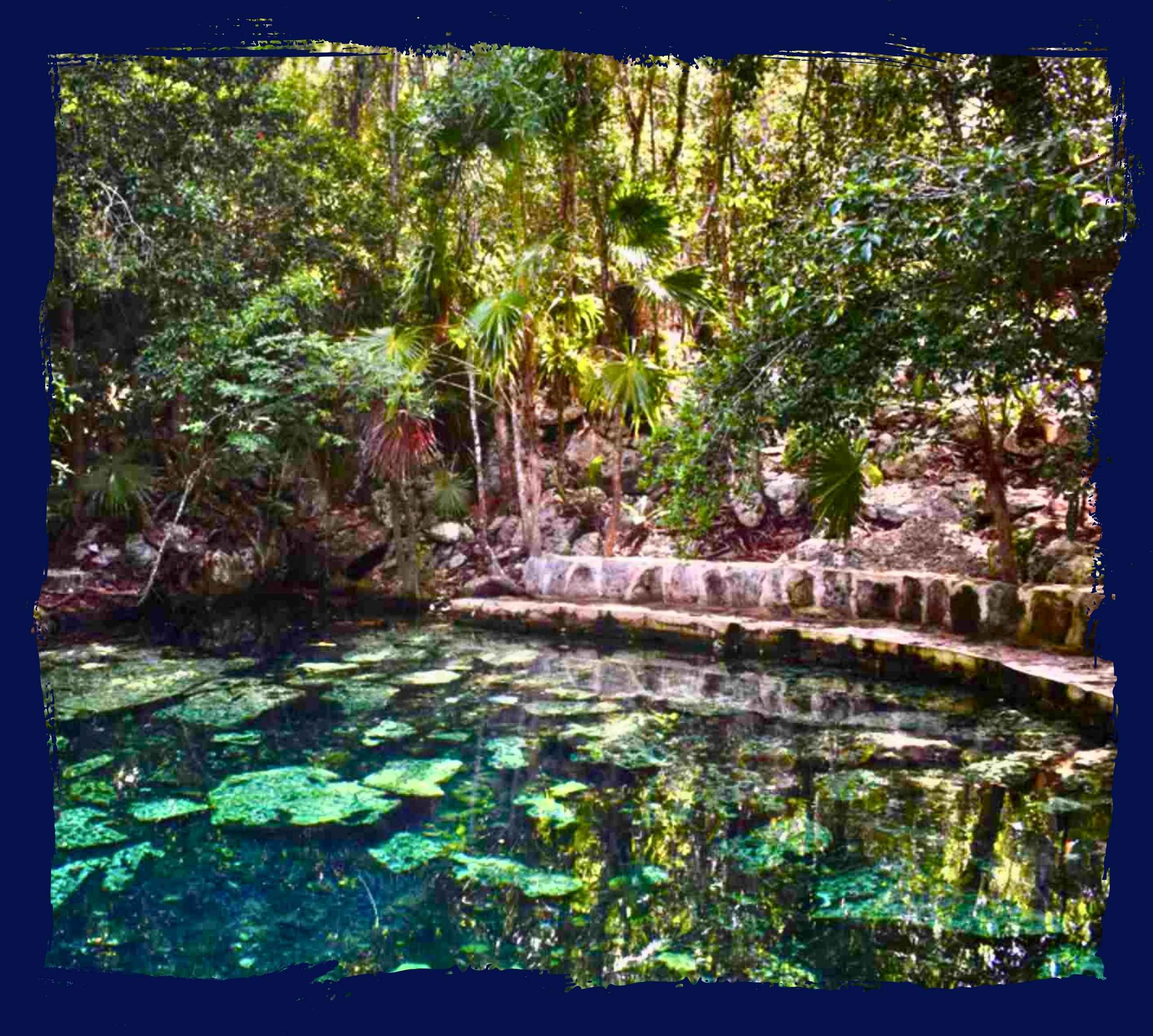 Cenote Cristalino : Prix, horaires et conseils en 2026